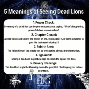 Dead Lions Meaning: End or a Transformation in My Life