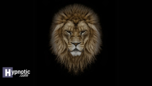 Dead Lions Meaning: End or a Transformation in My Life